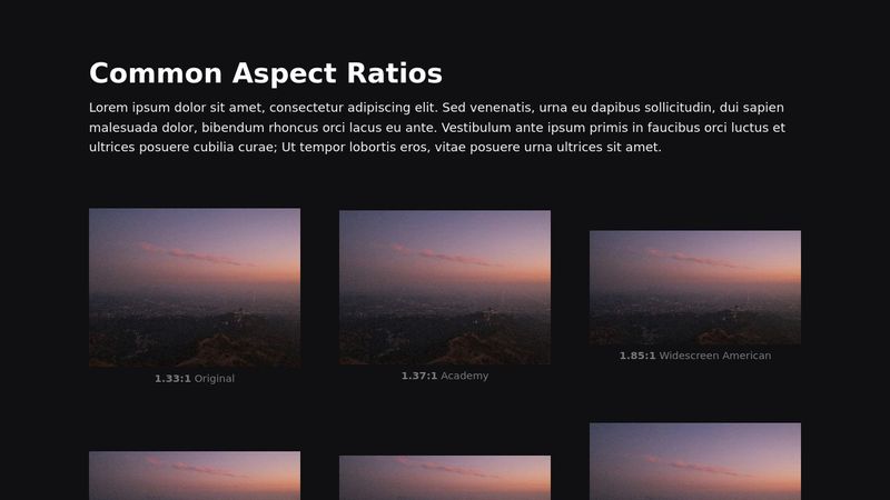Full CSS aspect ratios with CodyHouse Framework and custom film grain ...