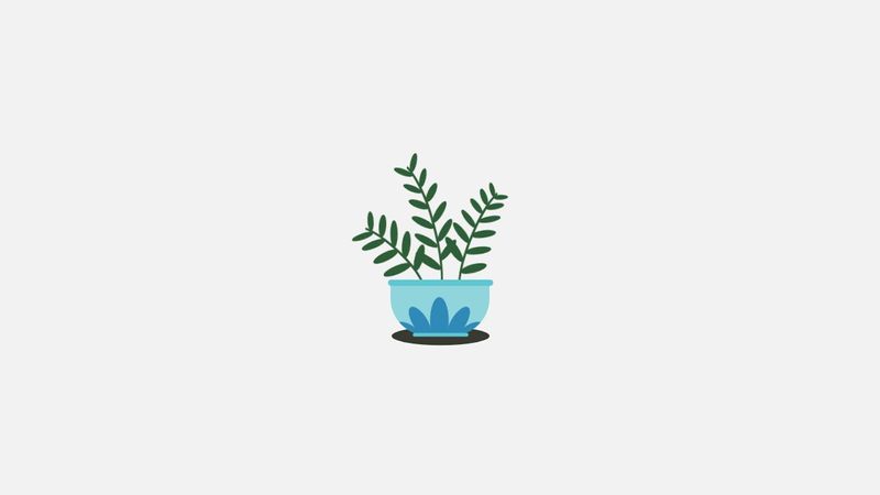 Plant Animation - CSS Only