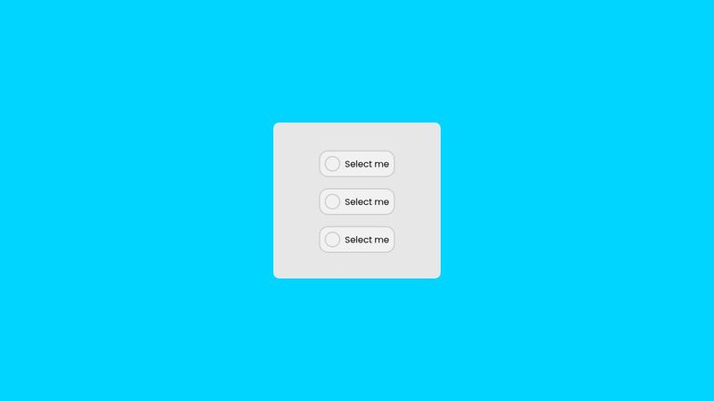 Custom Radio Button