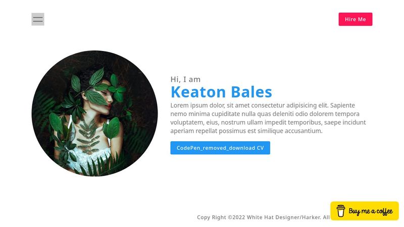 Personal/Resume Using HTML, CSS & Js