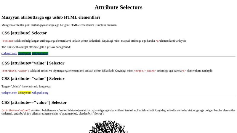 Attribute Selectors