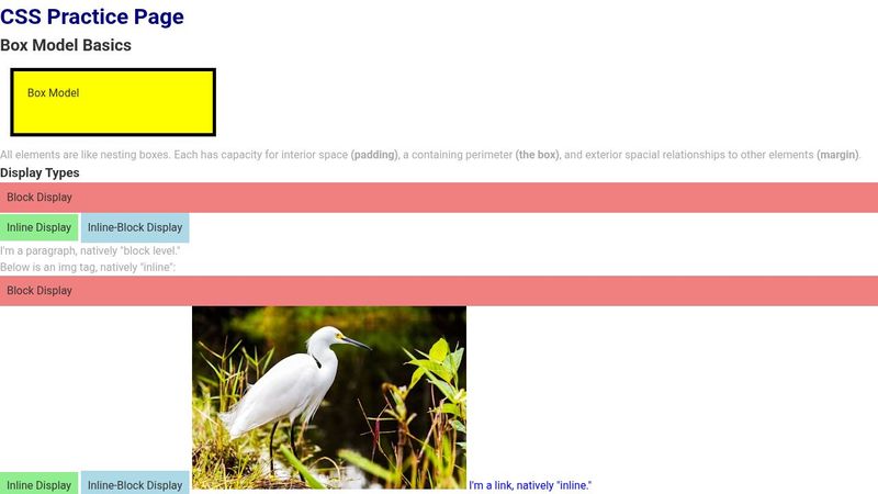 CSS Practice Starter-00-START
