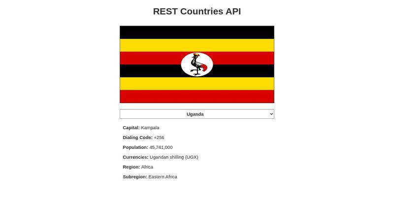 REST Countries API
