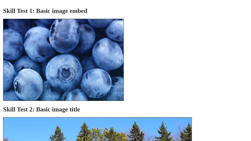 MDN HTML Image Skill Tests