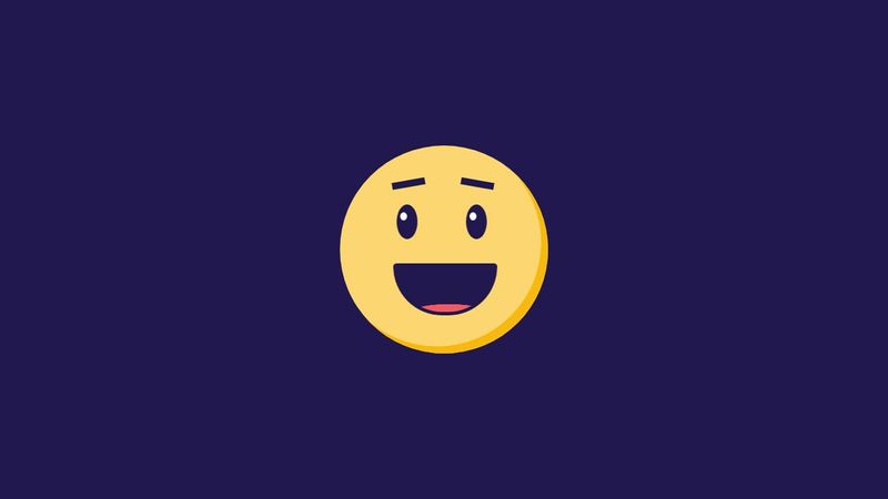 Pure CSS Smiley Face & Animated Excitement