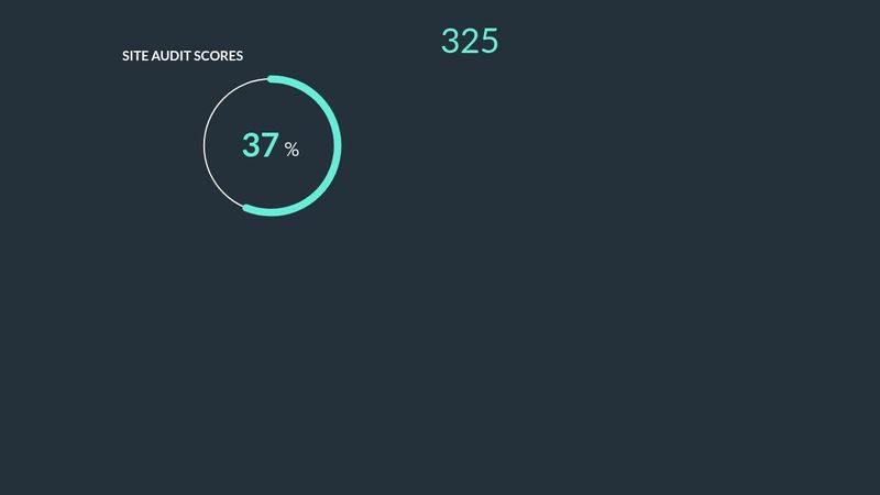 Circle stats animation + count up