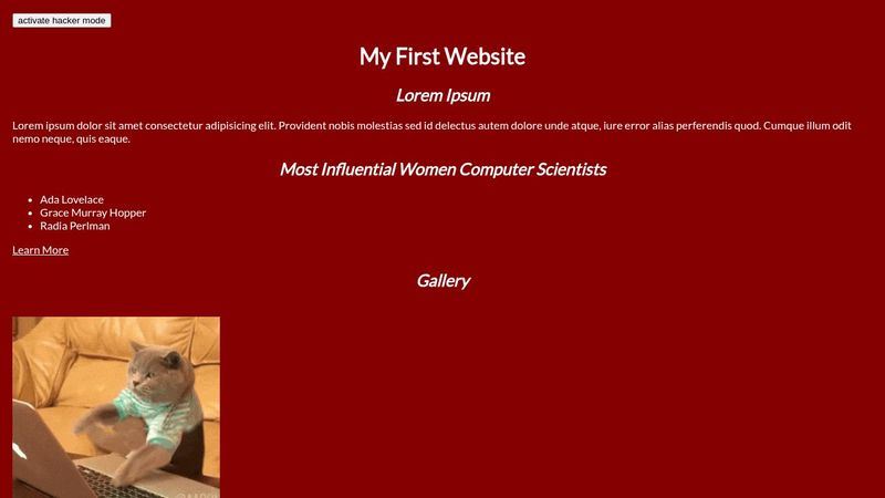 Coding Fundamentals Html Css And Js Hacker Cat Starter Code