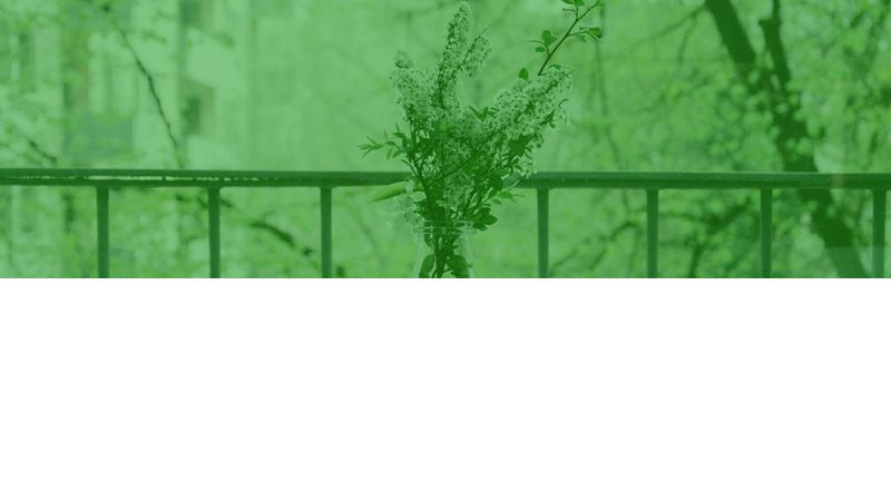 CodePen - Random Background