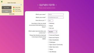 Survey Form (FreeCodeCamp)