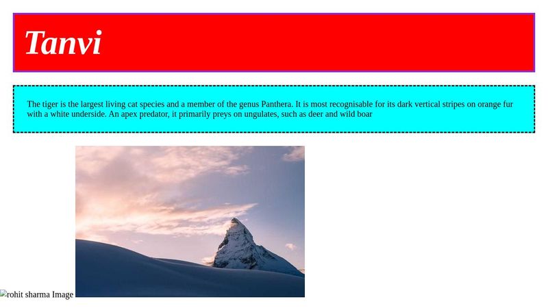CodePen - A Pen by TANVI PATIL