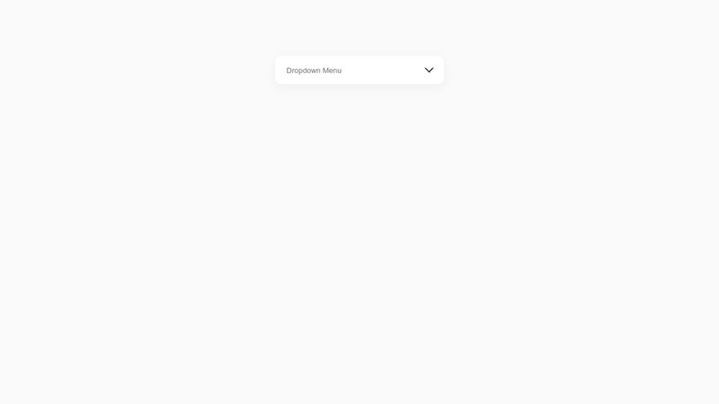 Custom Select Menu Dropdown Using Html Css And Vanilla Javascript Dropdown Menu