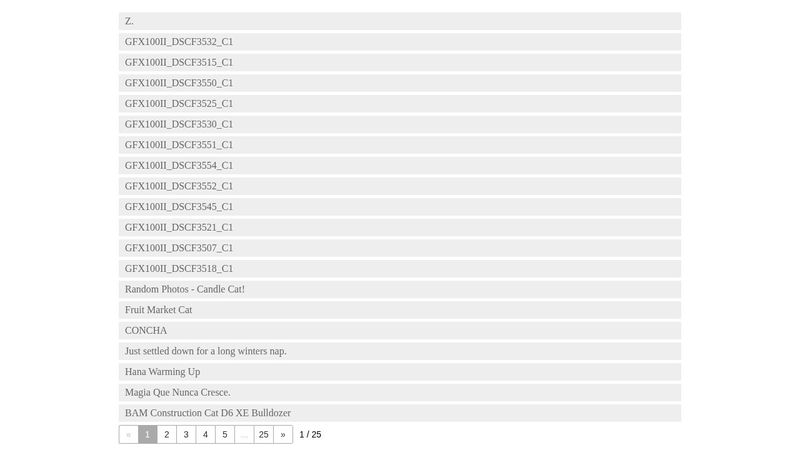 Pagination.js Sample