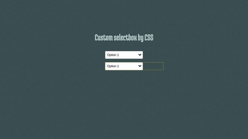 Custom selectbox by CSS