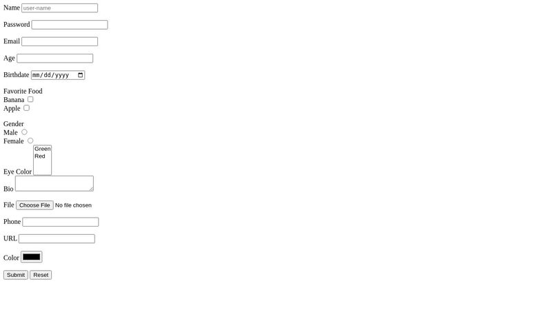 HTML-Form-WebDev Simplified