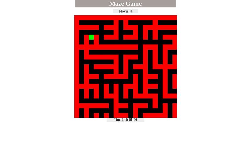 maze project