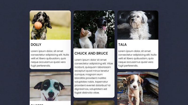 Codepen Challenge: Ngarly Grid