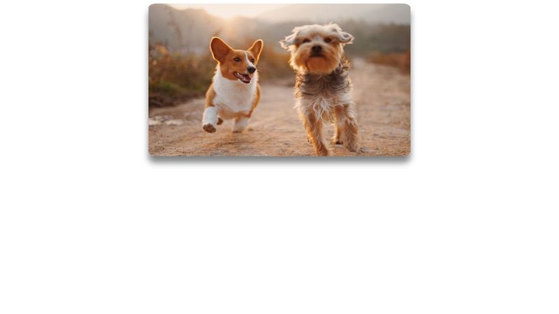 auto slider vanilla js css