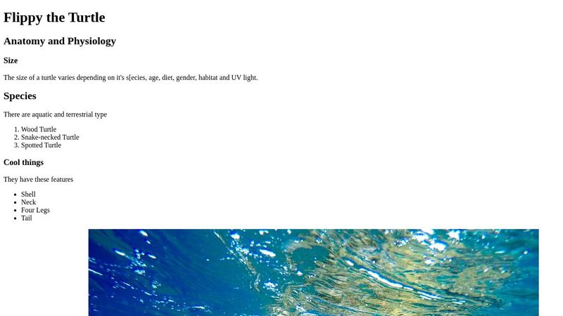 Html And Css Workshop Part 1 Template 1343