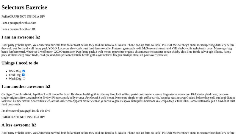 CSS Selectors Assignment