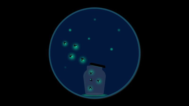 CSS Drawing #4: Fireflies