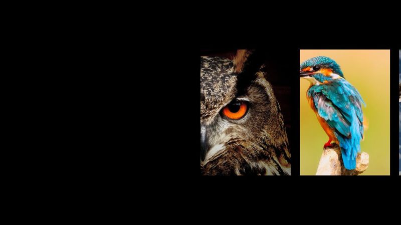 3D Image Slider Using CSS, JAVASCRIPT