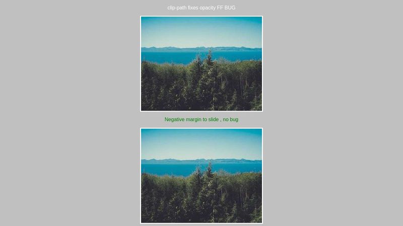 inconsistant bug in FF
