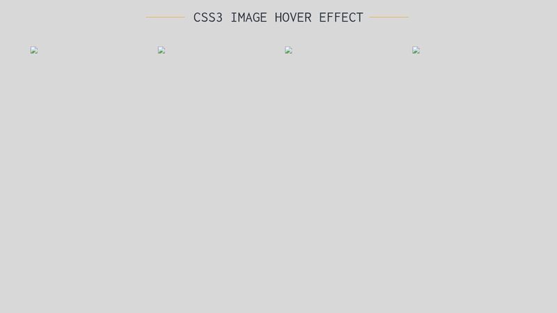 CSS3 IMAGE HOVER EFFECT