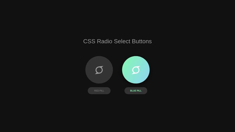 CSS Radio Select Buttons