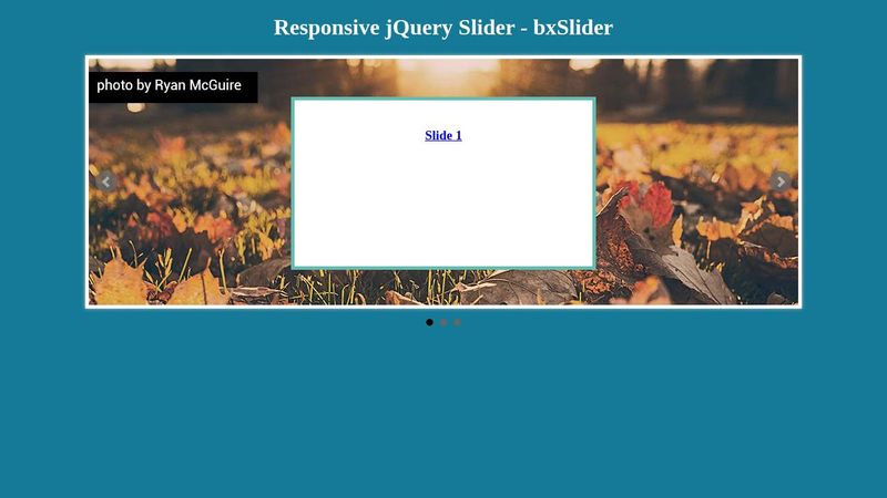 Responsive jQuery Slider - bxSlider