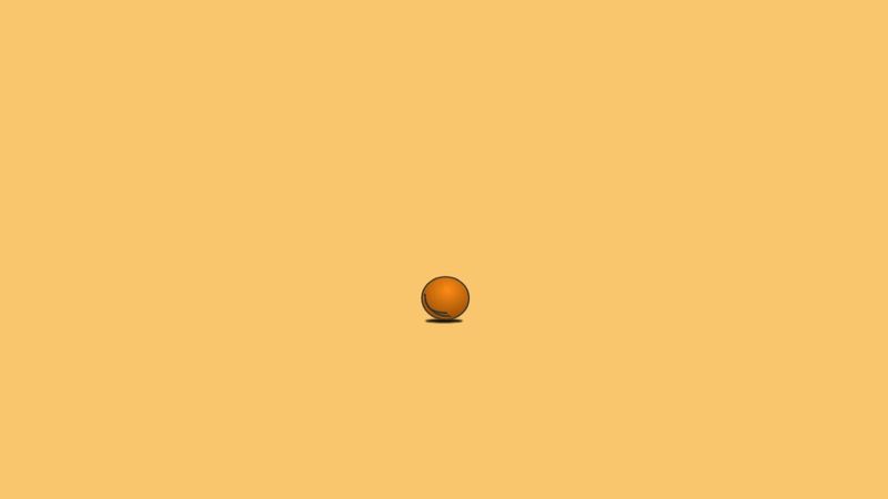 Pure CSS Bouncing Basketball Loader