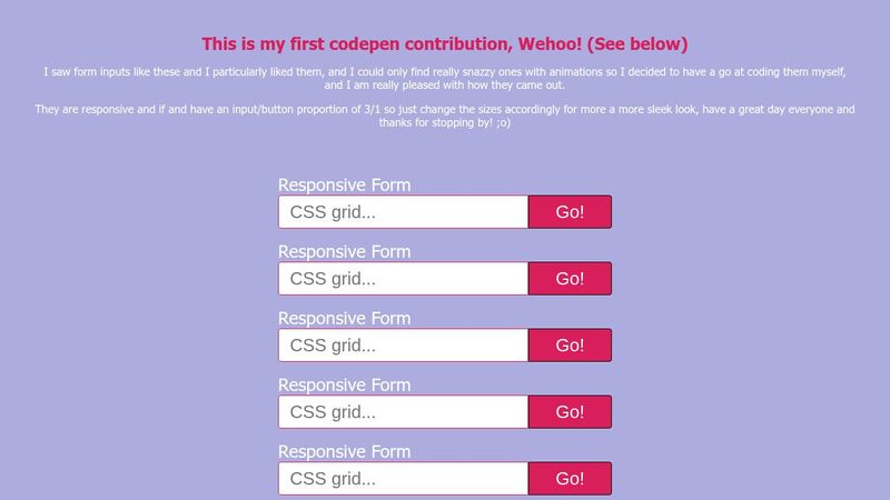 Responsive Form Field CSS Grid