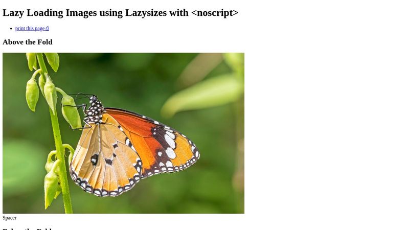 Lazy Loading Images using Lazysizes