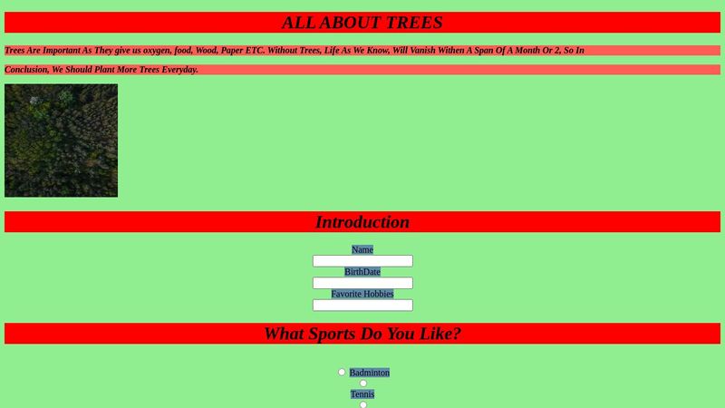 Crazy Website (ALL HTML AND CSS)