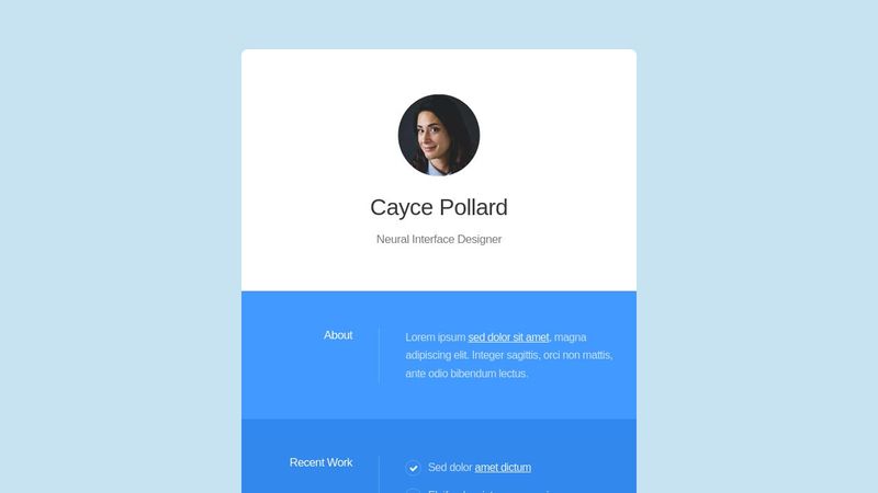 CodePen Home Your Turn: Resume Project 2