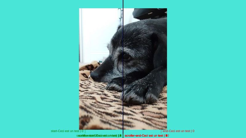 Horizontal scroller and image scaling