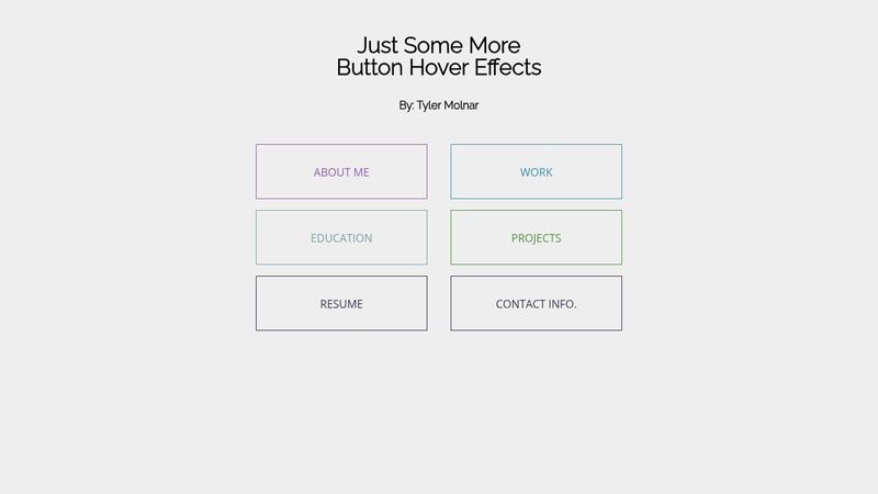 Button Hover Effects