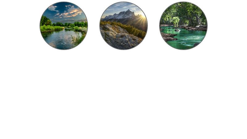 CSS Flip Card w/ jQuery Click Event