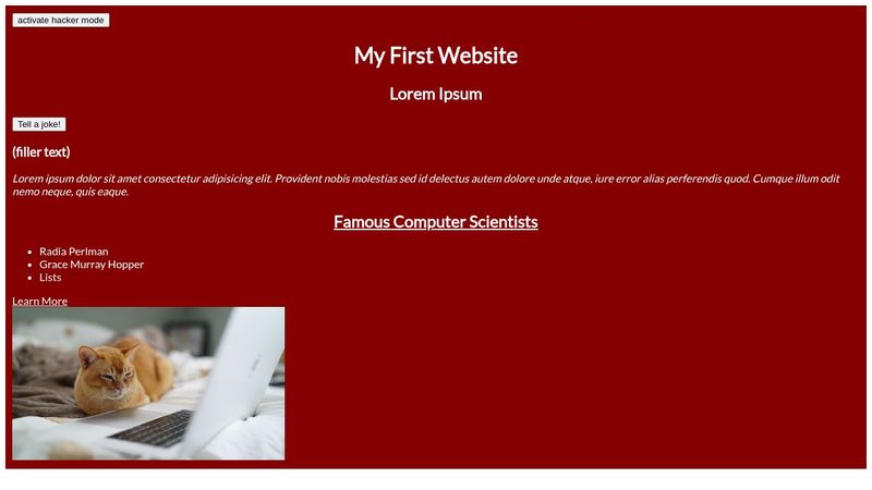 Build a simple website [Pt 1 HTML & CSS] (Solution Code)