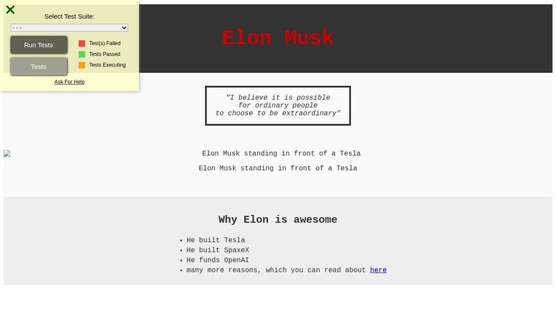 Tribute Page - Elon Musk (FFC project #1)