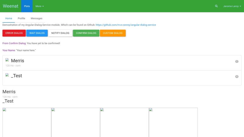 AngularJS BootStrap 3 Modal Dialogs