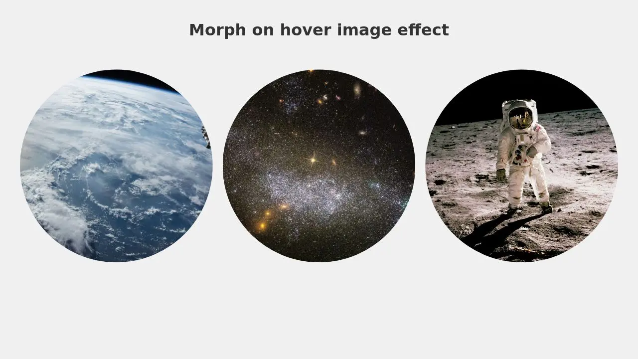 Penpot tutorial: Morph on hover image effect