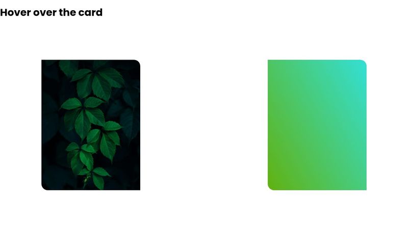 Card Hover effect